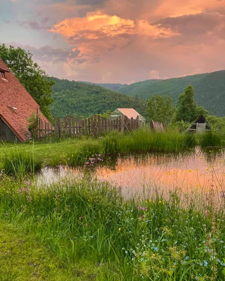 Live and Learn on Organic Farms - WWOOF Independents