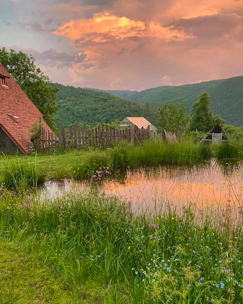 Plan your Springtime WWOOFing 🌱 | WWOOF