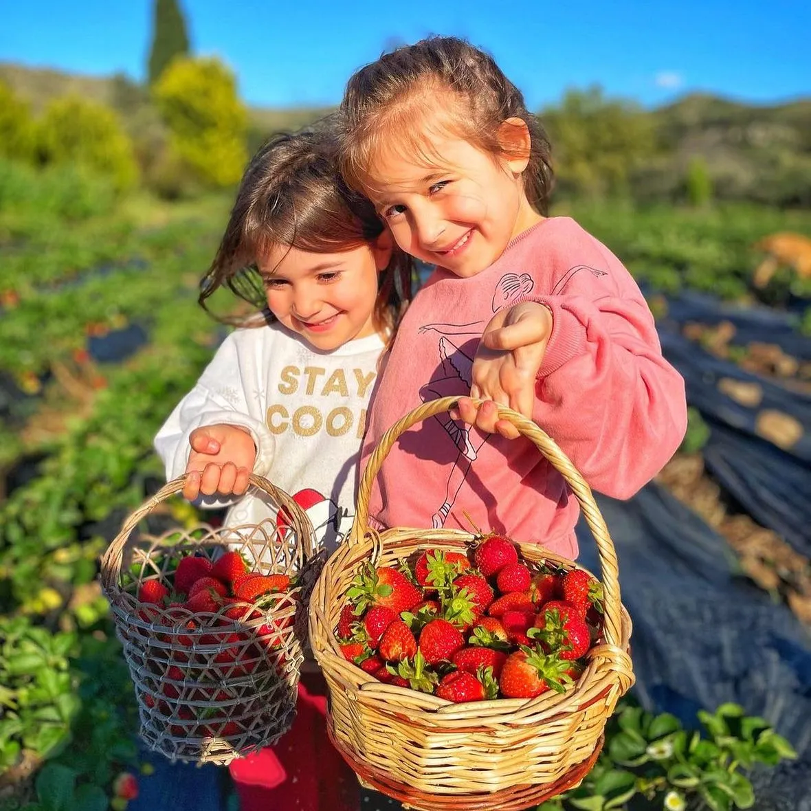 How to volunteer on a farm with your children through WWOOF 🐣 | WWOOF